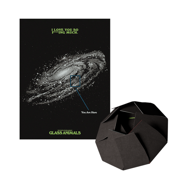 Glass Animals - Official Store - Shop Exclusive Music & Merch